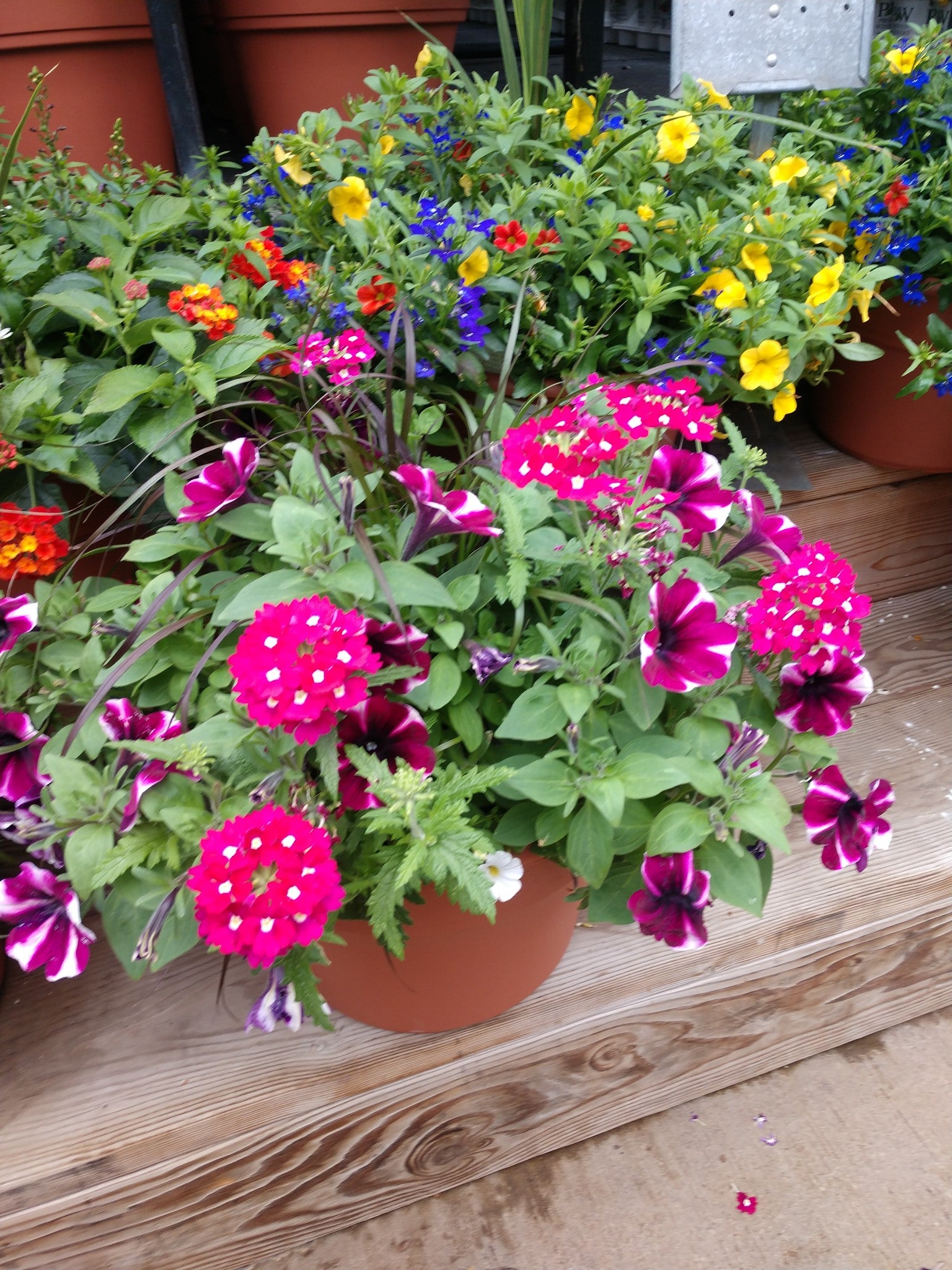 14" Patio Pot | Bouquet Boutique, Inc.